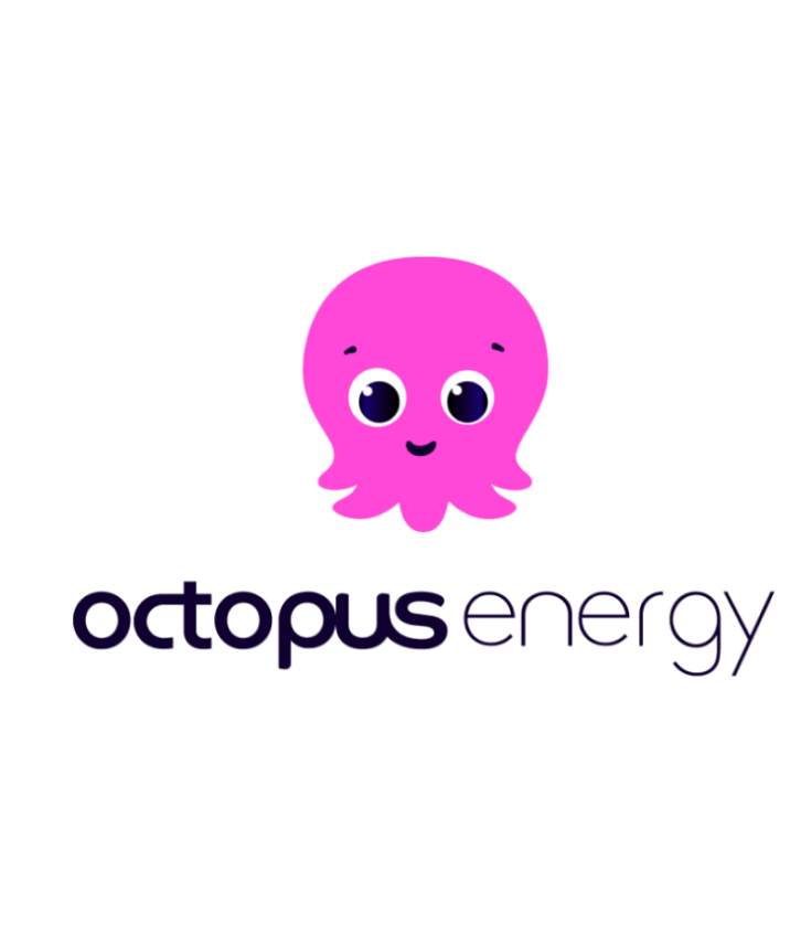 Octopus Solar: tarifa e instalación con Octopus Energy